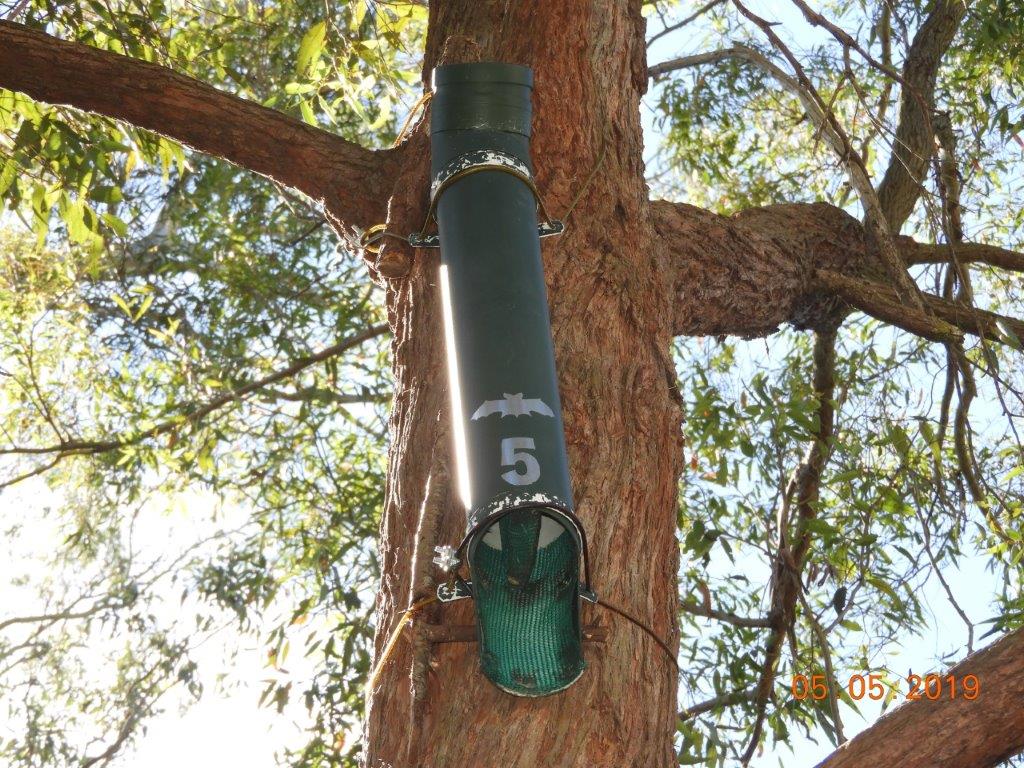 Purpose built homes for Micro-bats