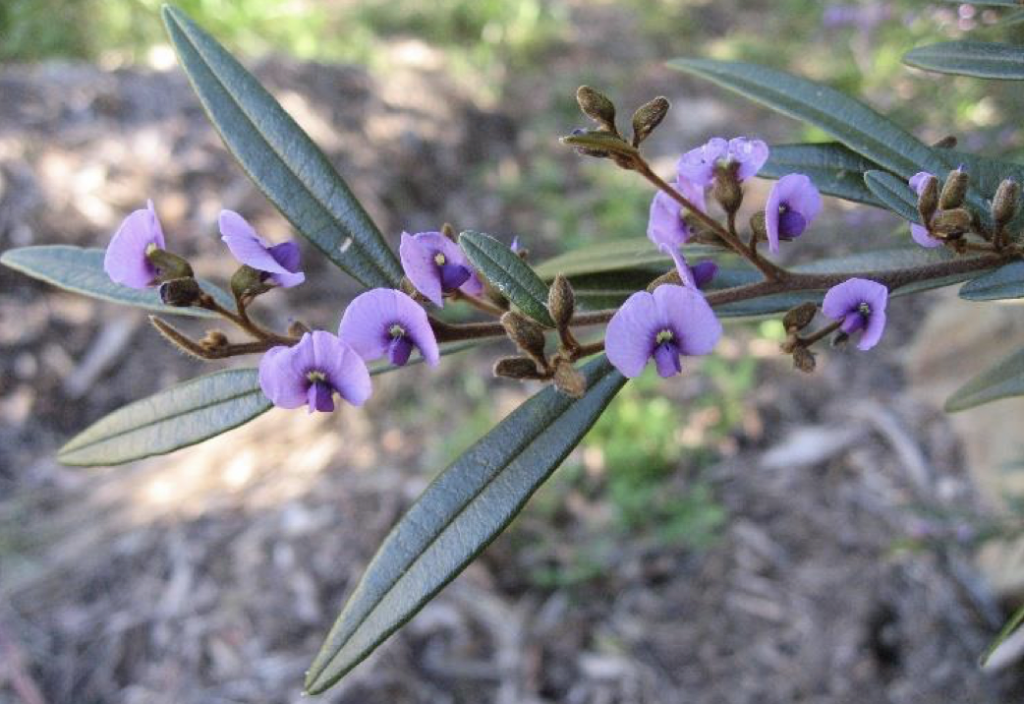 The Spring Newsletter is out!