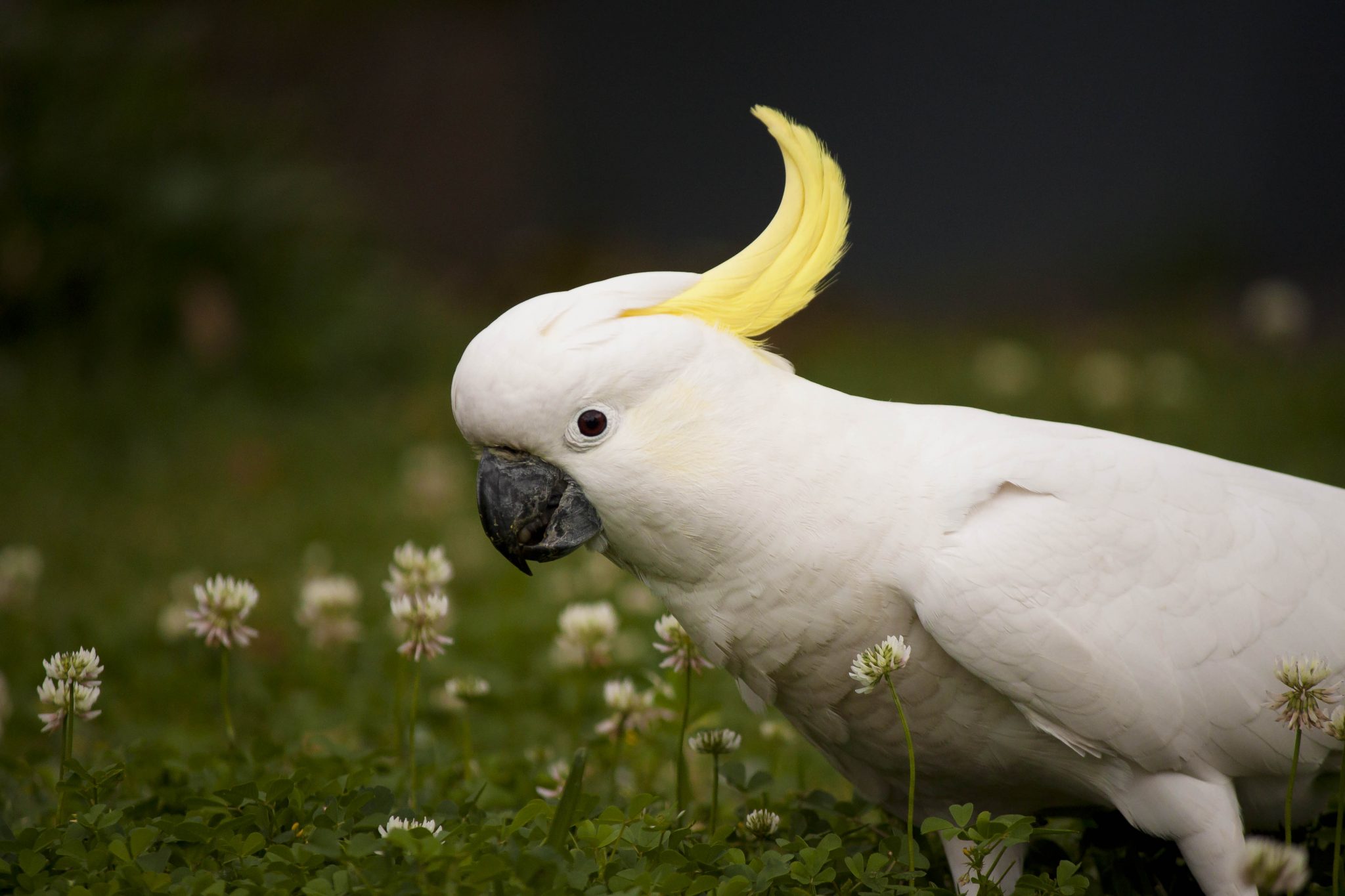 2022 Photo Competition Winners!