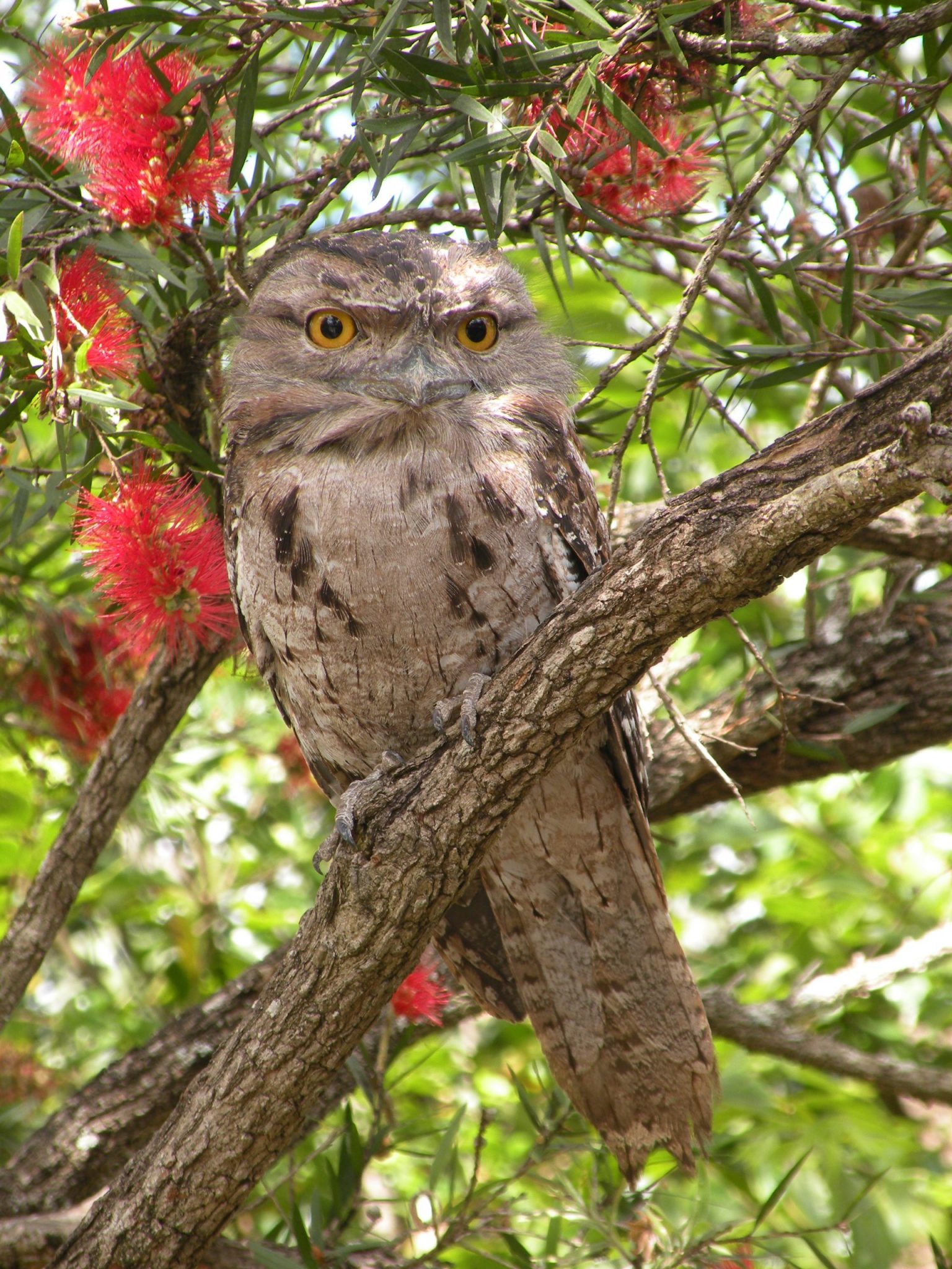 2022 Photo Competition Winners!