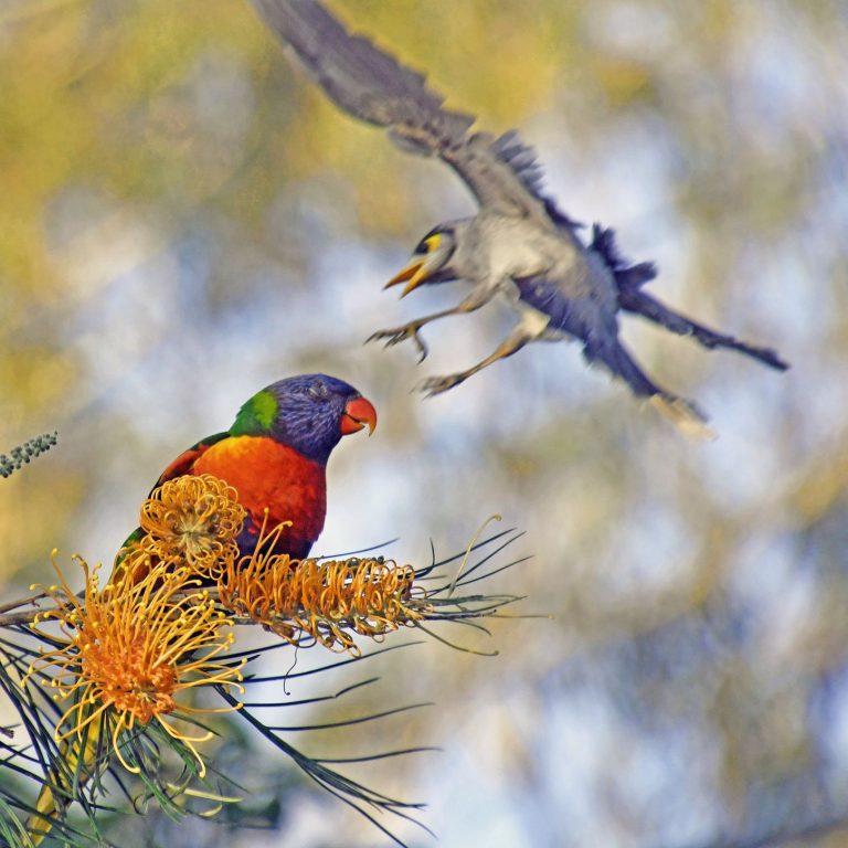 2022 Photo Competition Winners!