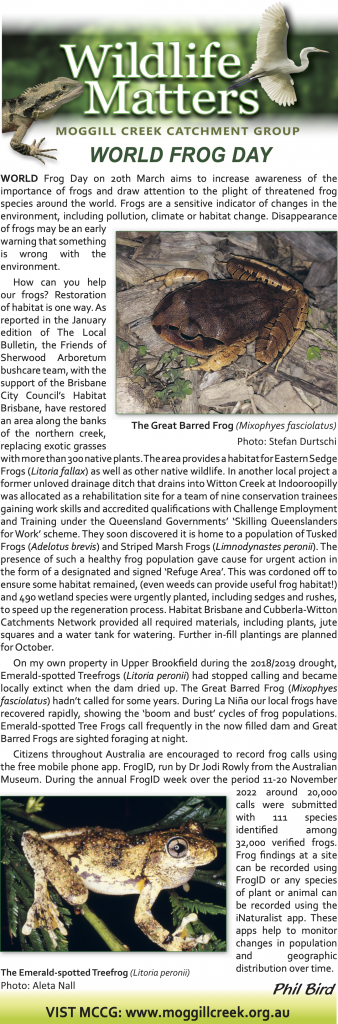 Wildlife Matters – World Frog Day