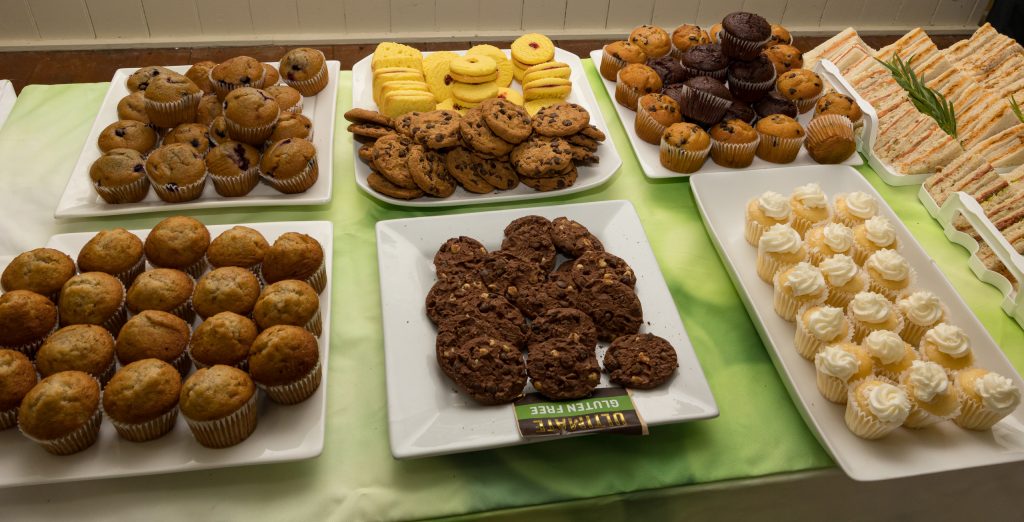 Old Gold Creek Sawmill Forest Walk – Grand Opening March 4th