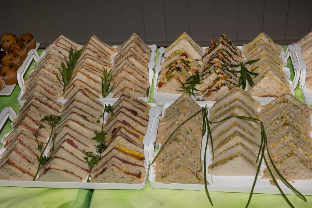 Old Gold Creek Sawmill Forest Walk – Grand Opening March 4th