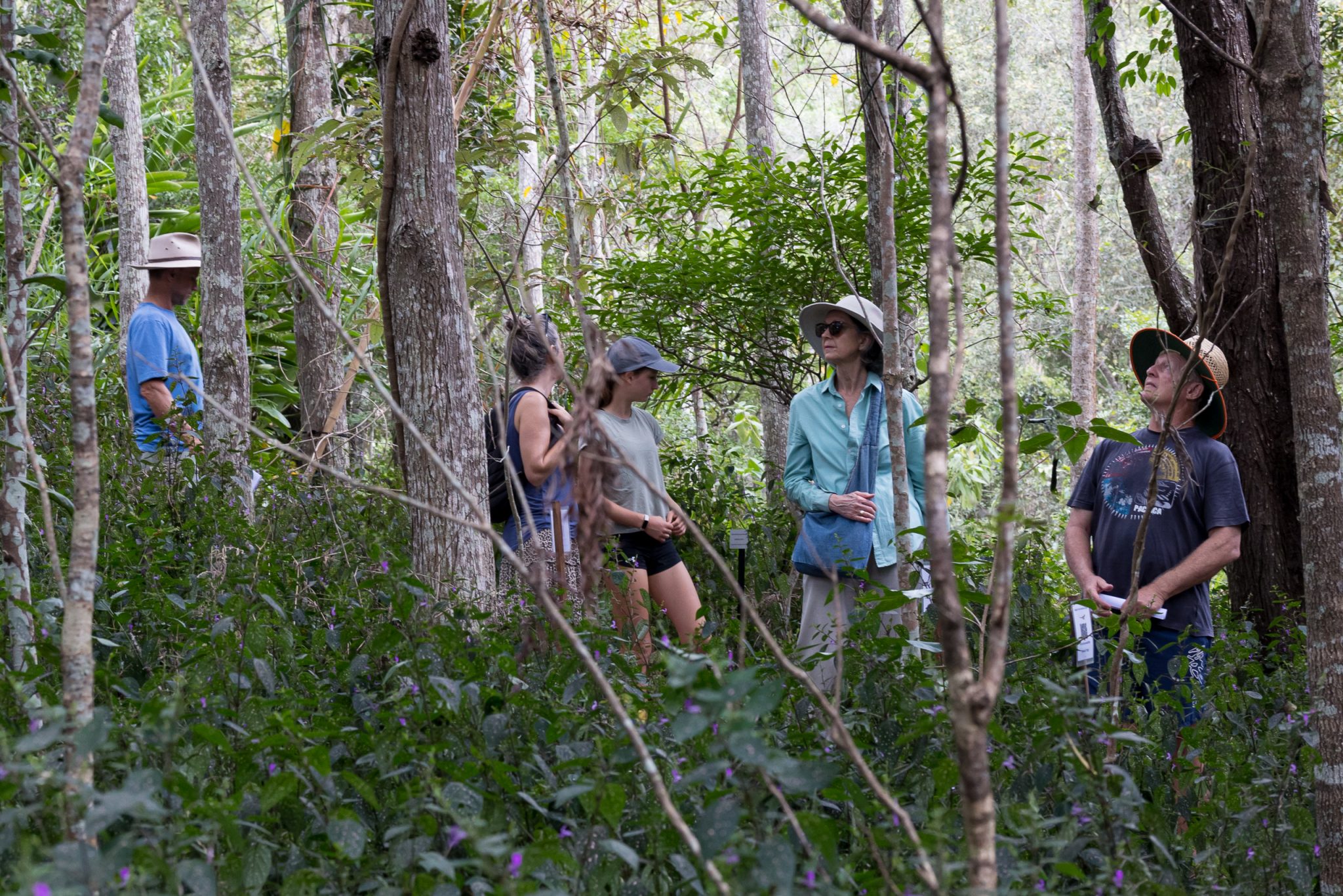 Old Gold Creek Sawmill Forest Walk – Grand Opening March 4th