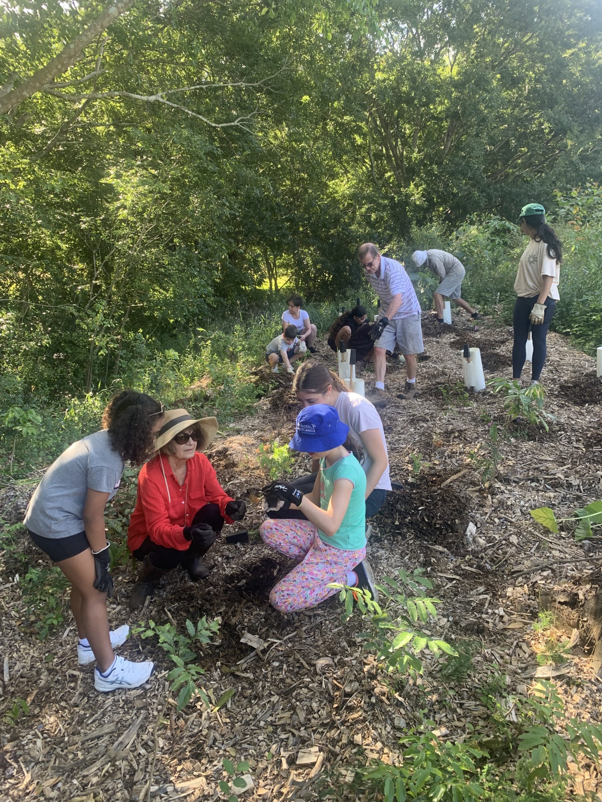 Tree planting fun in Brookfield