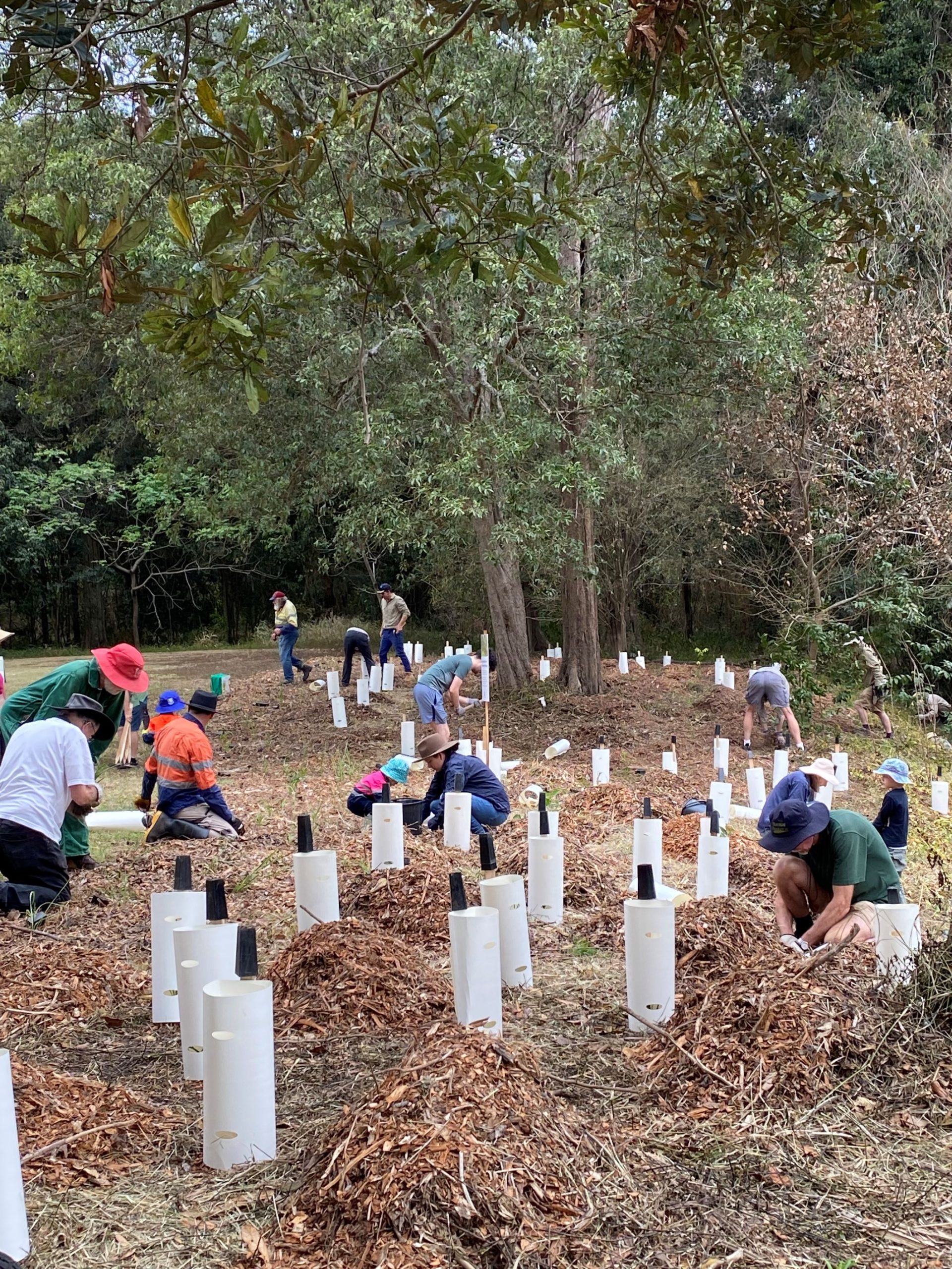 MCCG Annual Photo Competition 2023 Winners