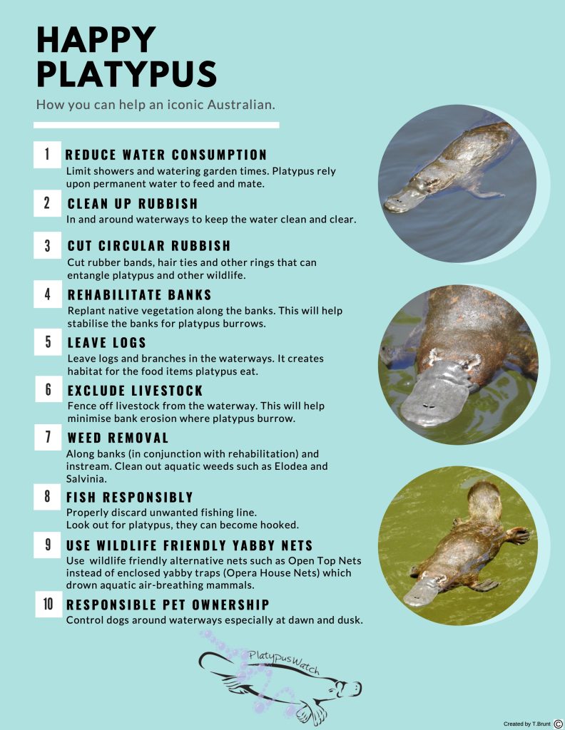 All things Platypus … Annual survey results plus upcoming PlatyMonth events
